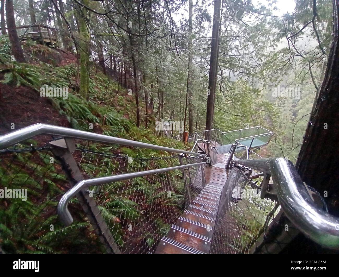 Park with natural beauty, history and activities with a suspension ...