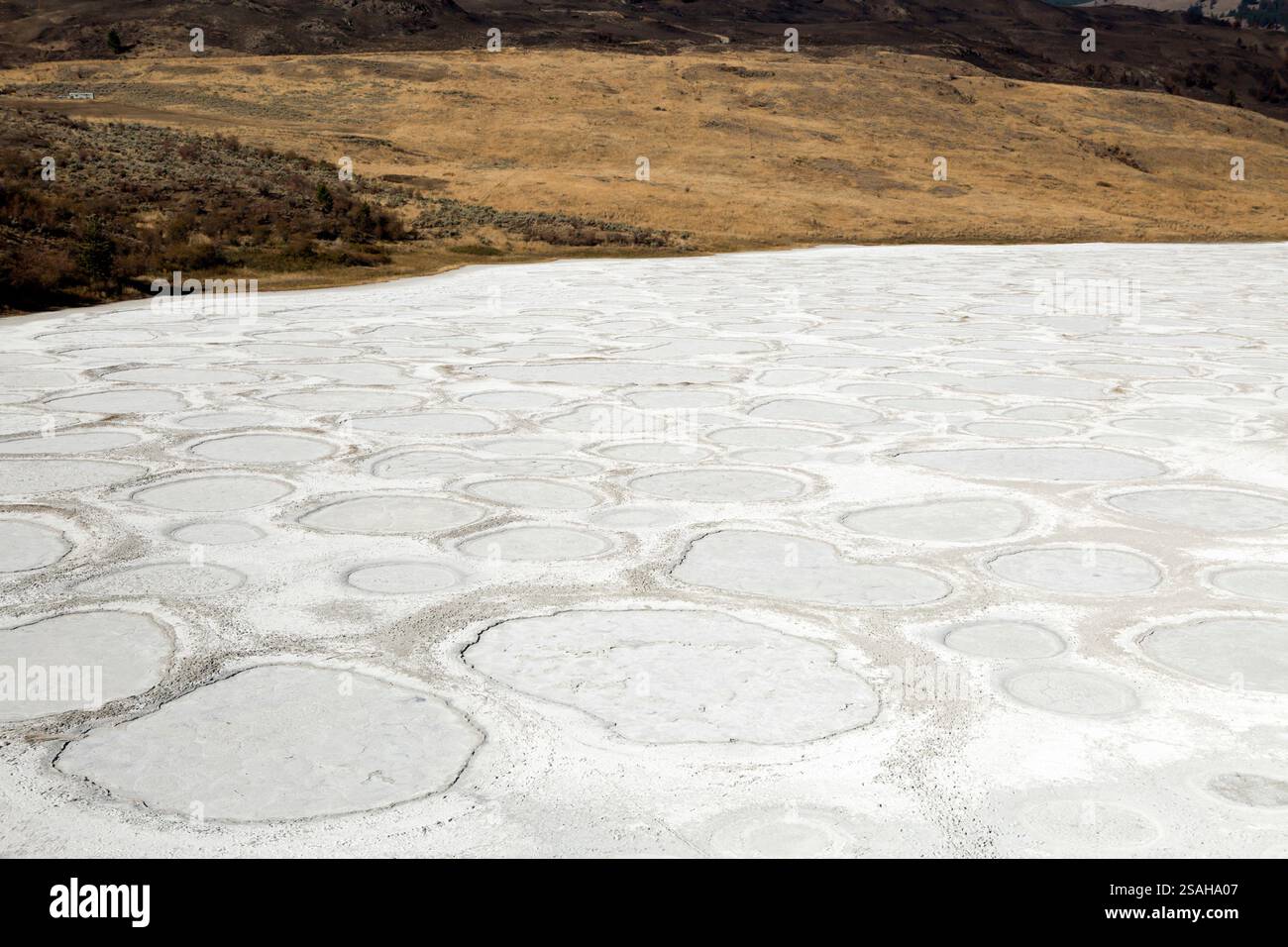 Spotted Lake — known as Lake Khiluk in the Nsyilxcən language — is a ...