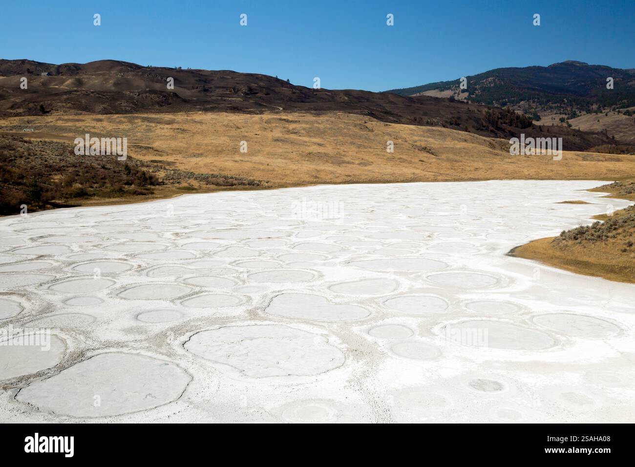 Spotted Lake — known as Lake Khiluk in the Nsyilxcən language — is a ...