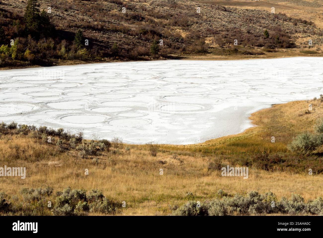 Spotted Lake — known as Lake Khiluk in the Nsyilxcən language — is a ...