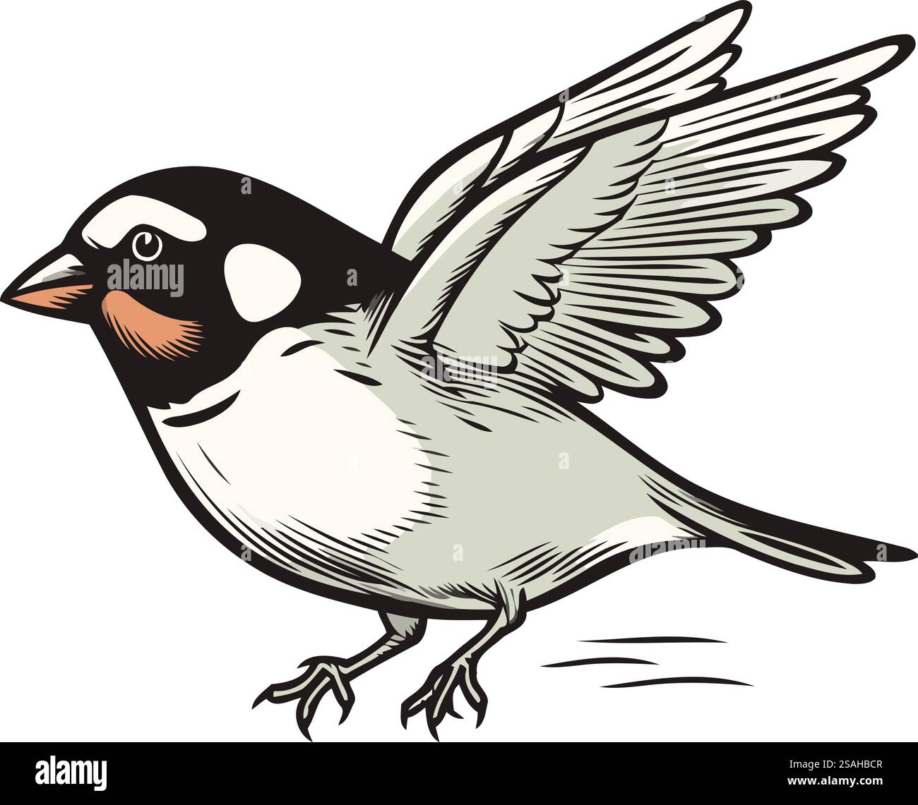 Sparrow. Hand drawn vector illustration isolated on white background ...