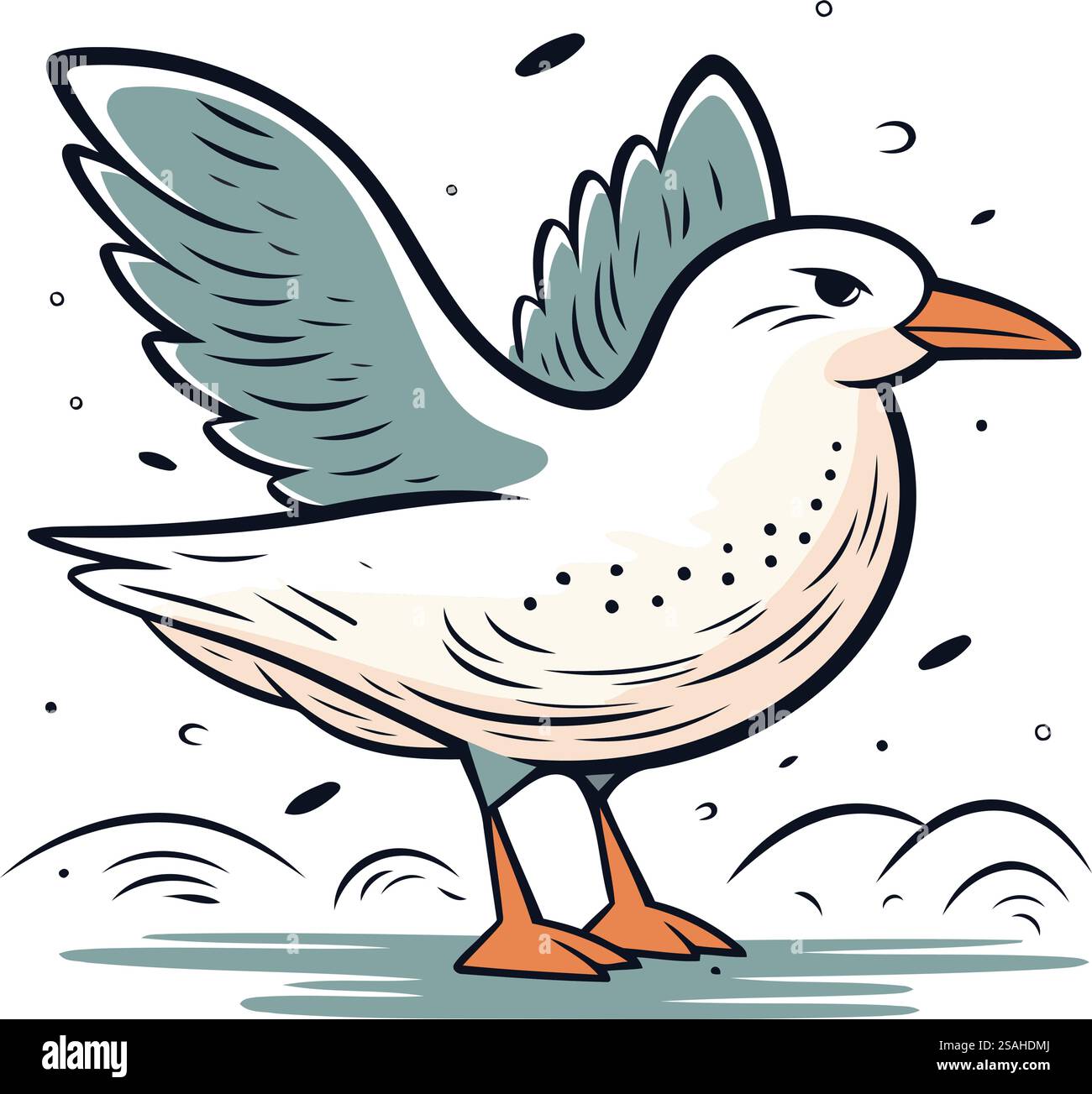 Vector illustration of a flying seagull on a white background Stock ...