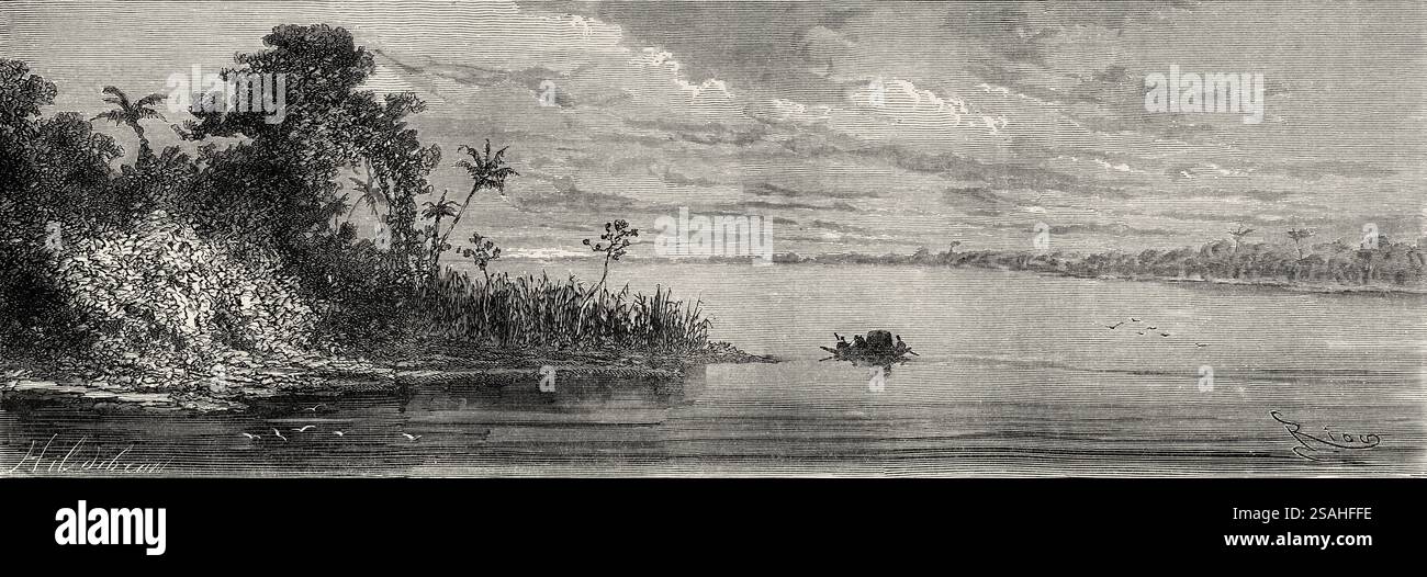 Purus river confluence with Amazon river, Amazon state. Brazil. South ...