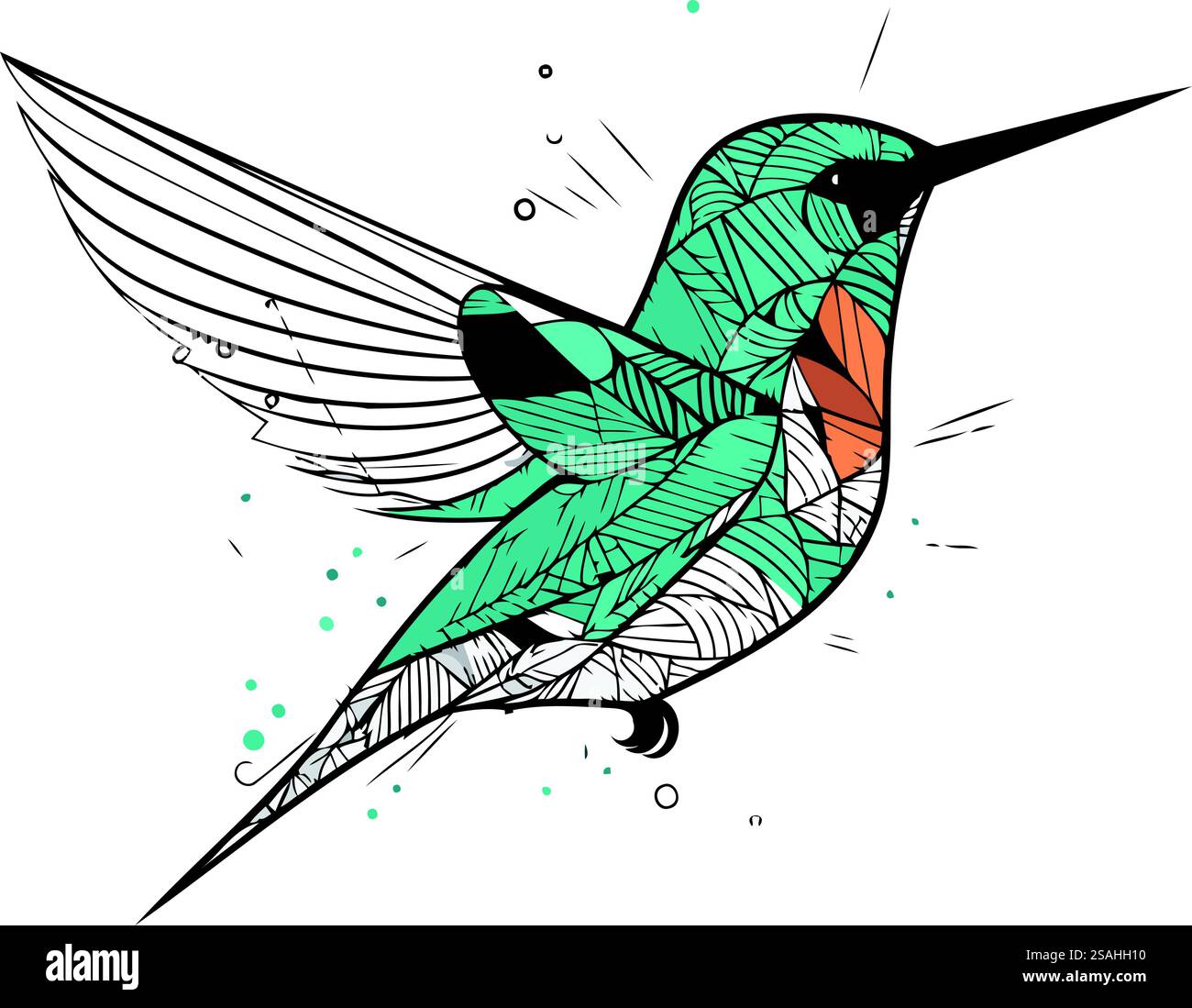 Vector hand drawn hummingbird. Isolated on a white background Stock ...