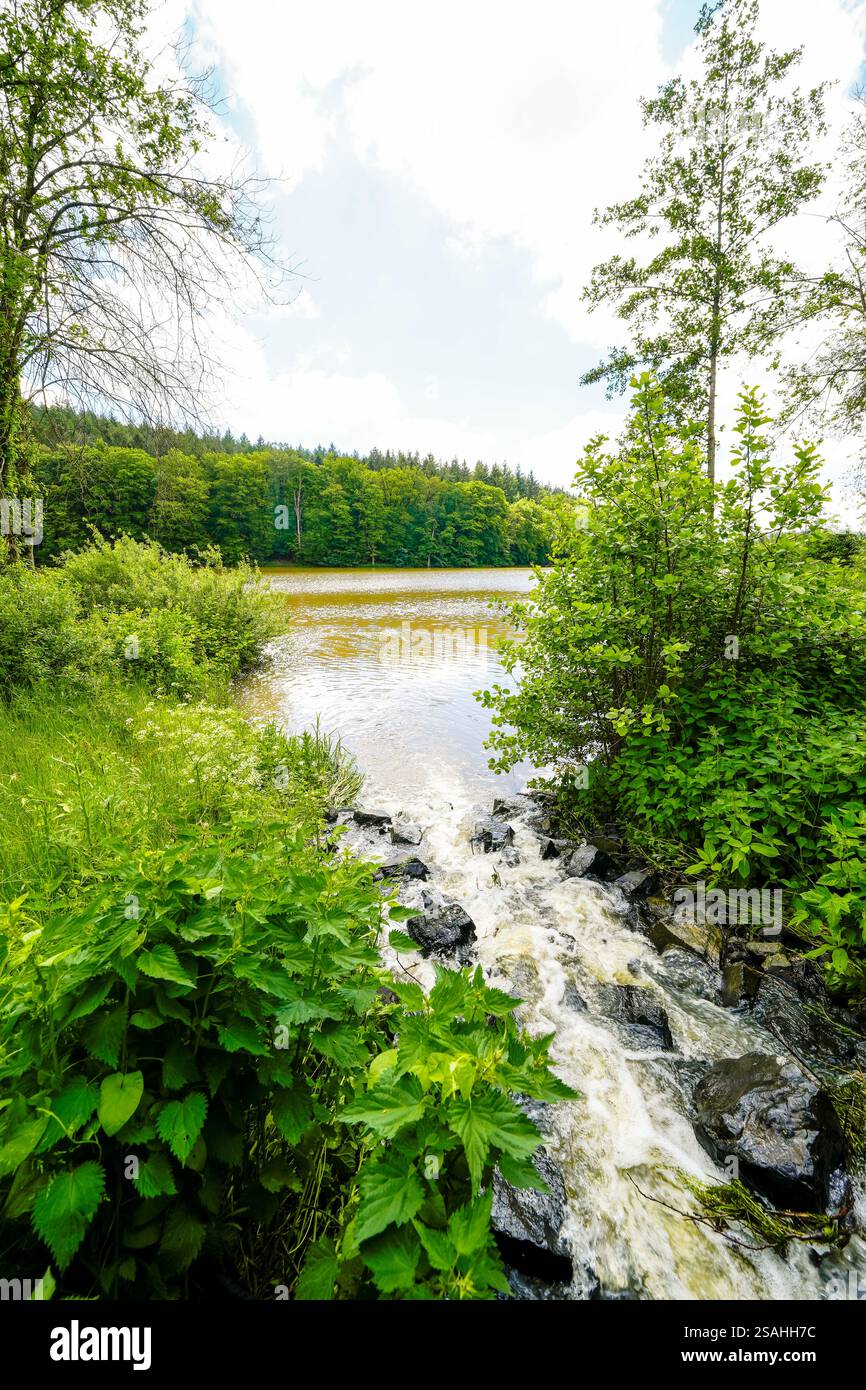 View of the Haunetalsperre and the surrounding nature. Flood retention ...