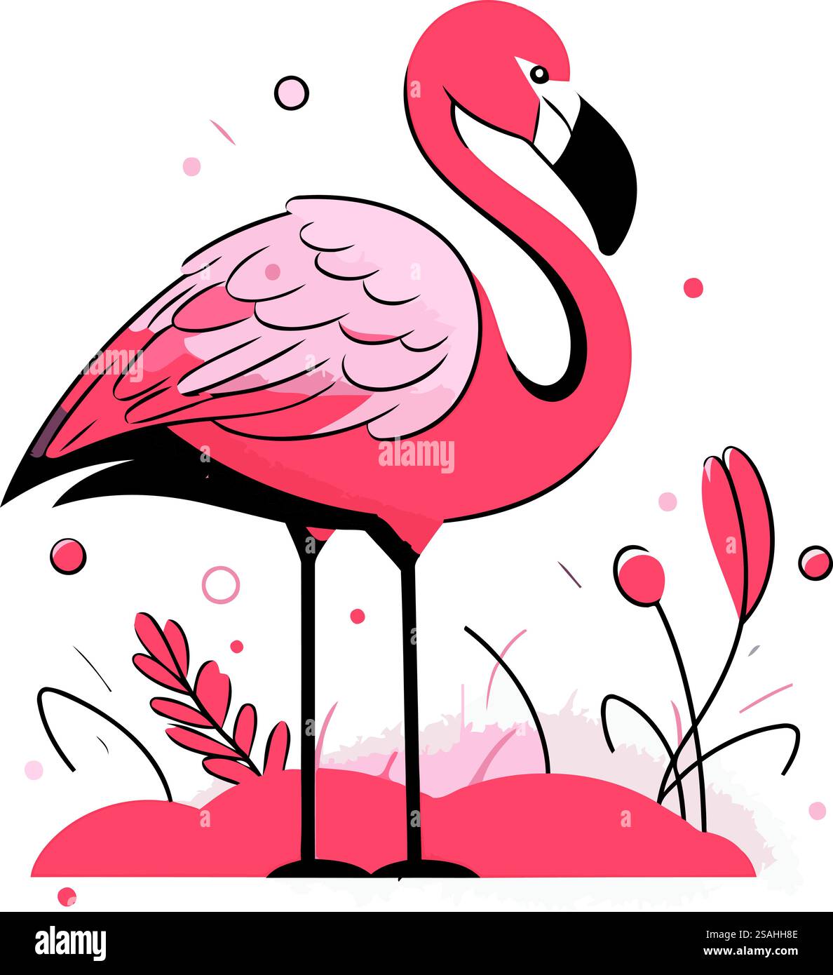 Flamingo. Vector illustration in flat style. Isolated on white ...