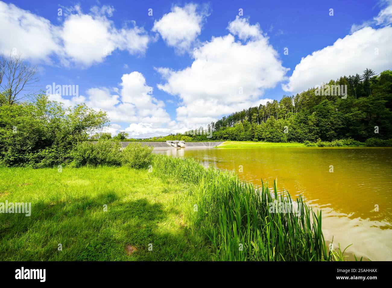 View of the Haunetalsperre and the surrounding nature. Flood retention ...