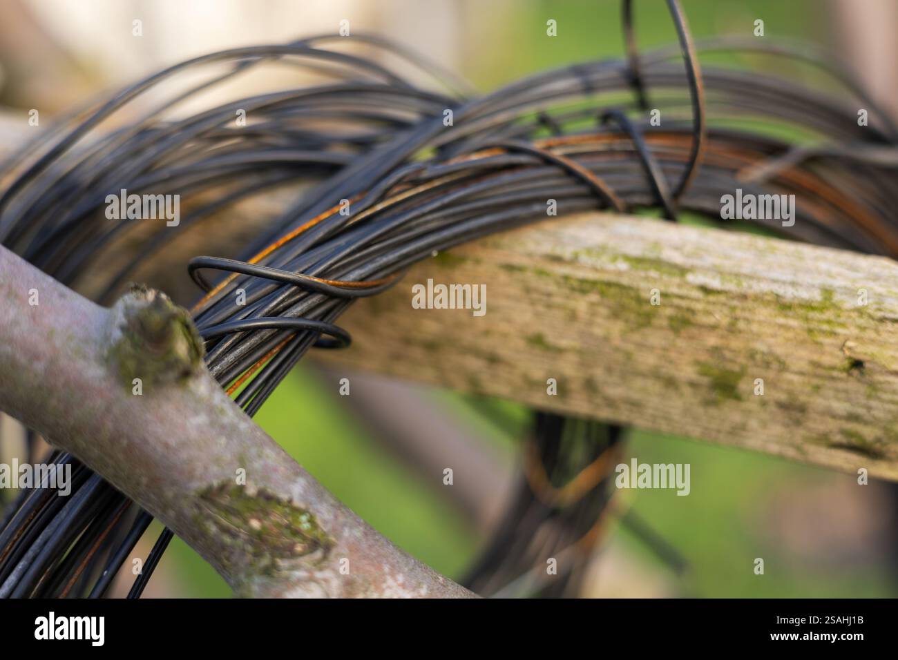 Empty metal wire storage hi-res stock photography and images - Alamy