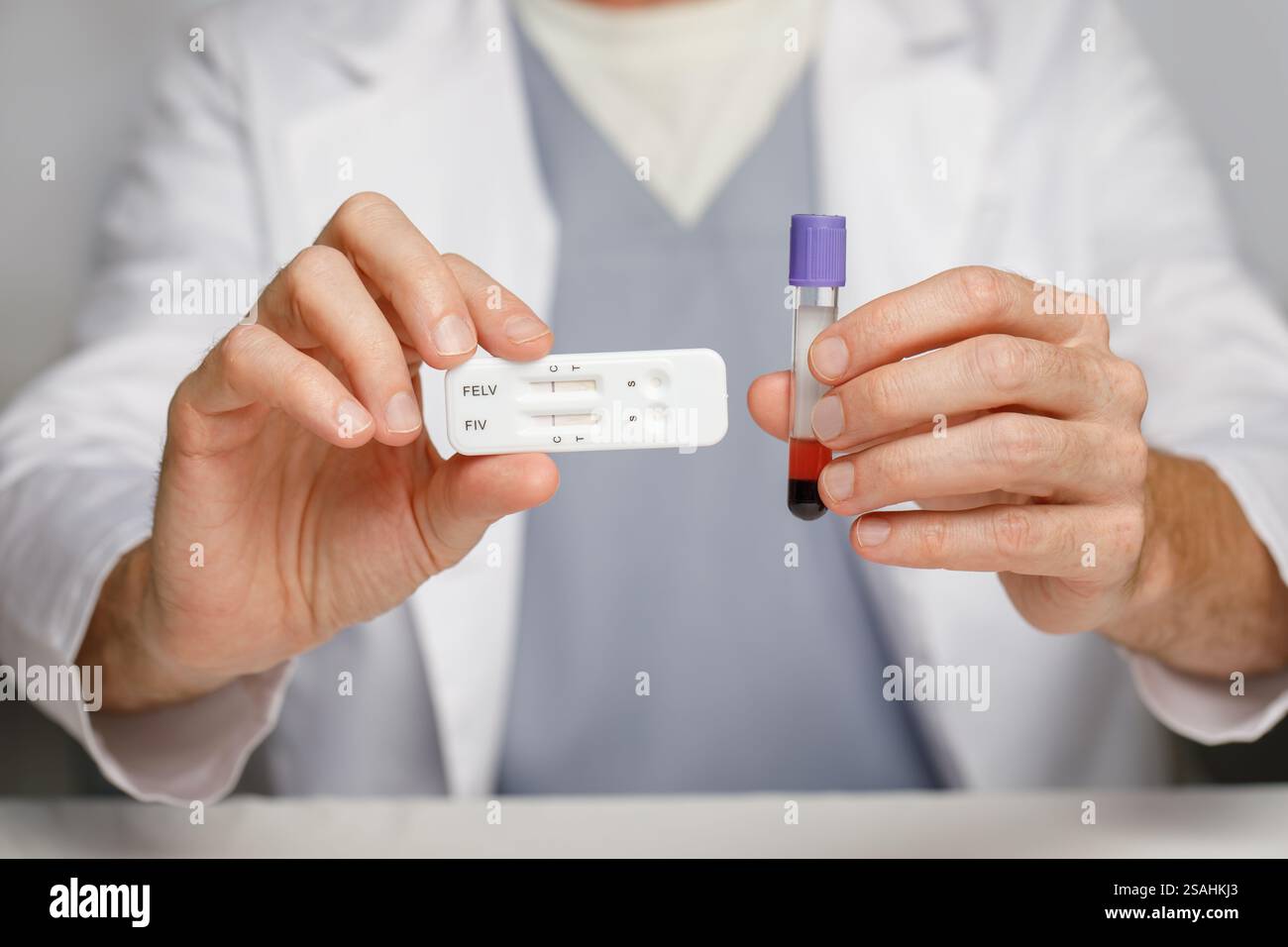 Veterinarian showing diagnostic test tube with feline blood and test ...