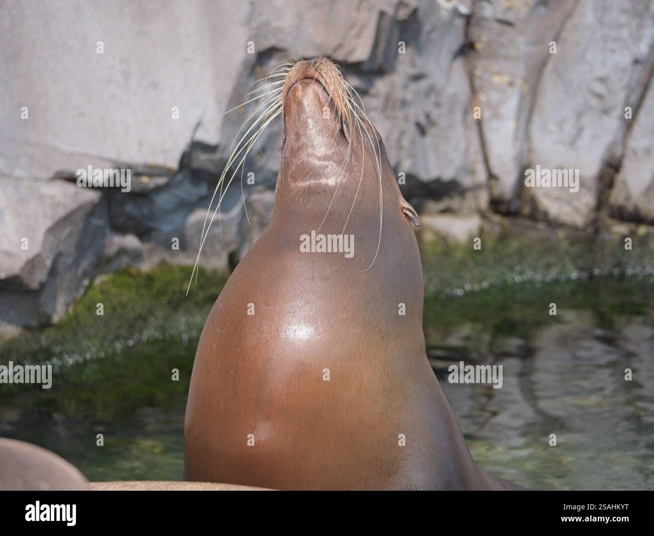 Wildlands Zoo, Emmen Stock Photo - Alamy
