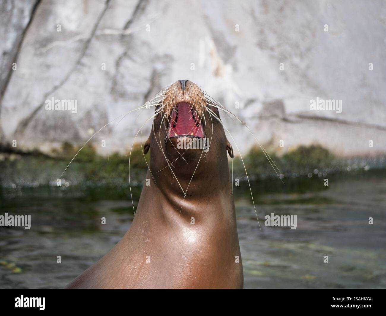 Wildlands Zoo, Emmen Stock Photo - Alamy