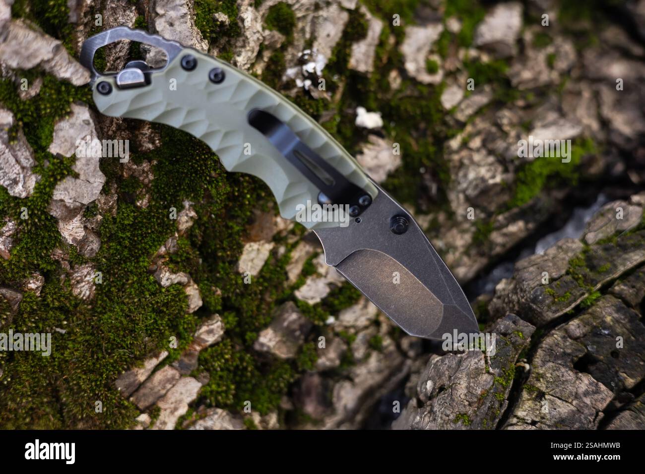 Tactical knife stuck in a tree stump in a forest Stock Photo - Alamy