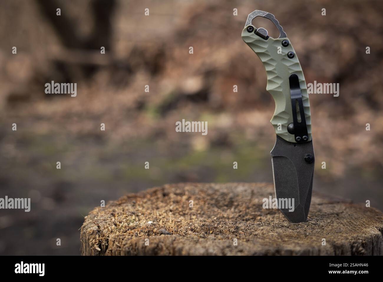 Tactical knife stuck in a tree stump in a forest Stock Photo - Alamy