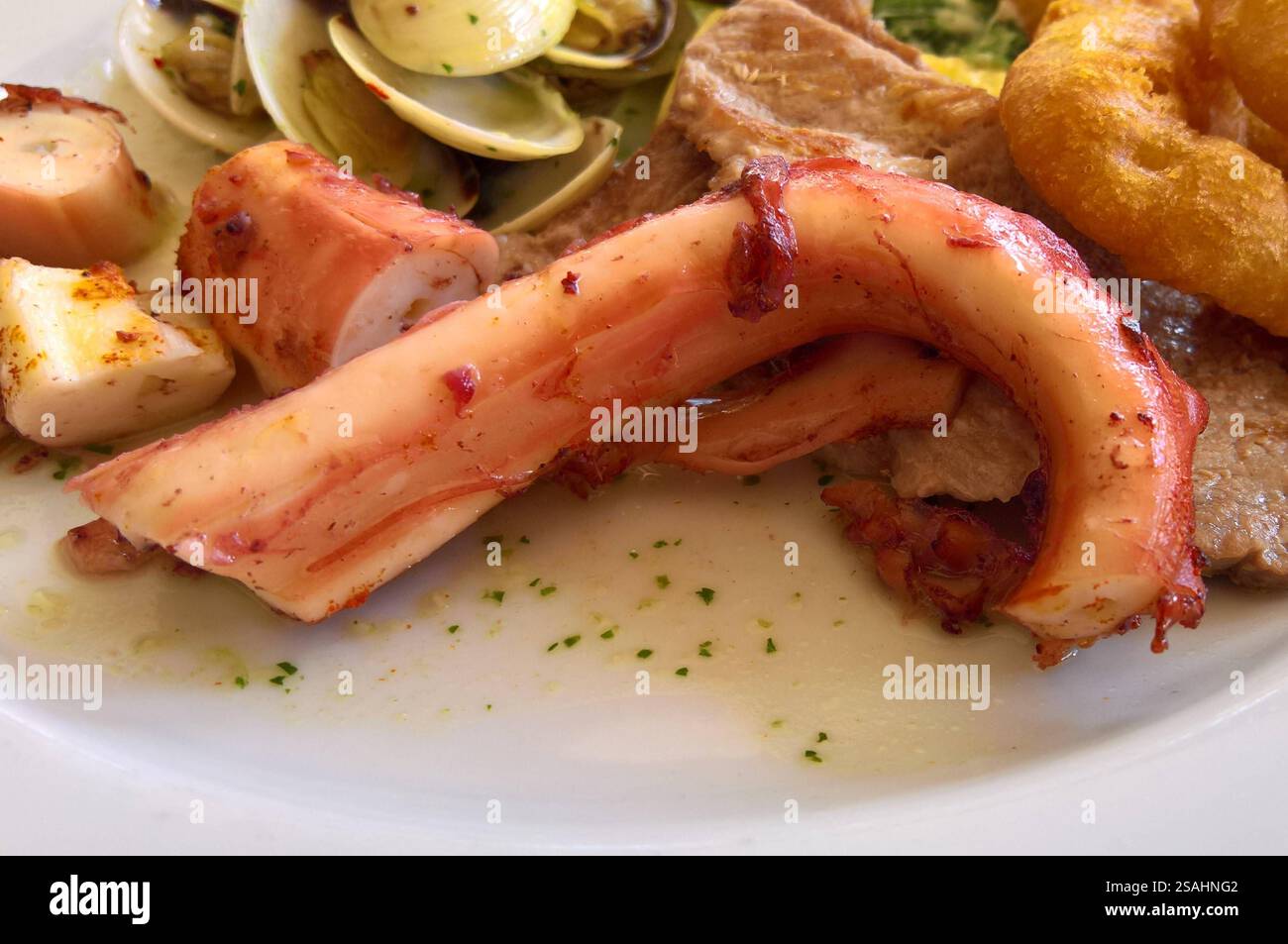 Fisch, Octopus bzw Pulpo, Tintenfisch. Tintenfische sind Meeresfrüchte ...