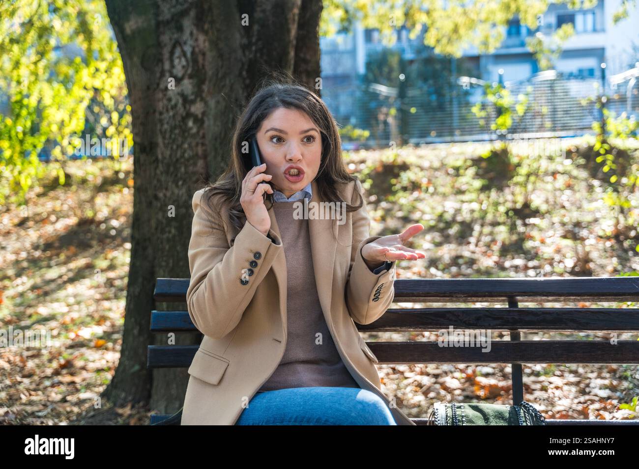 Daily life and routine of young businesswoman. Young business women ...