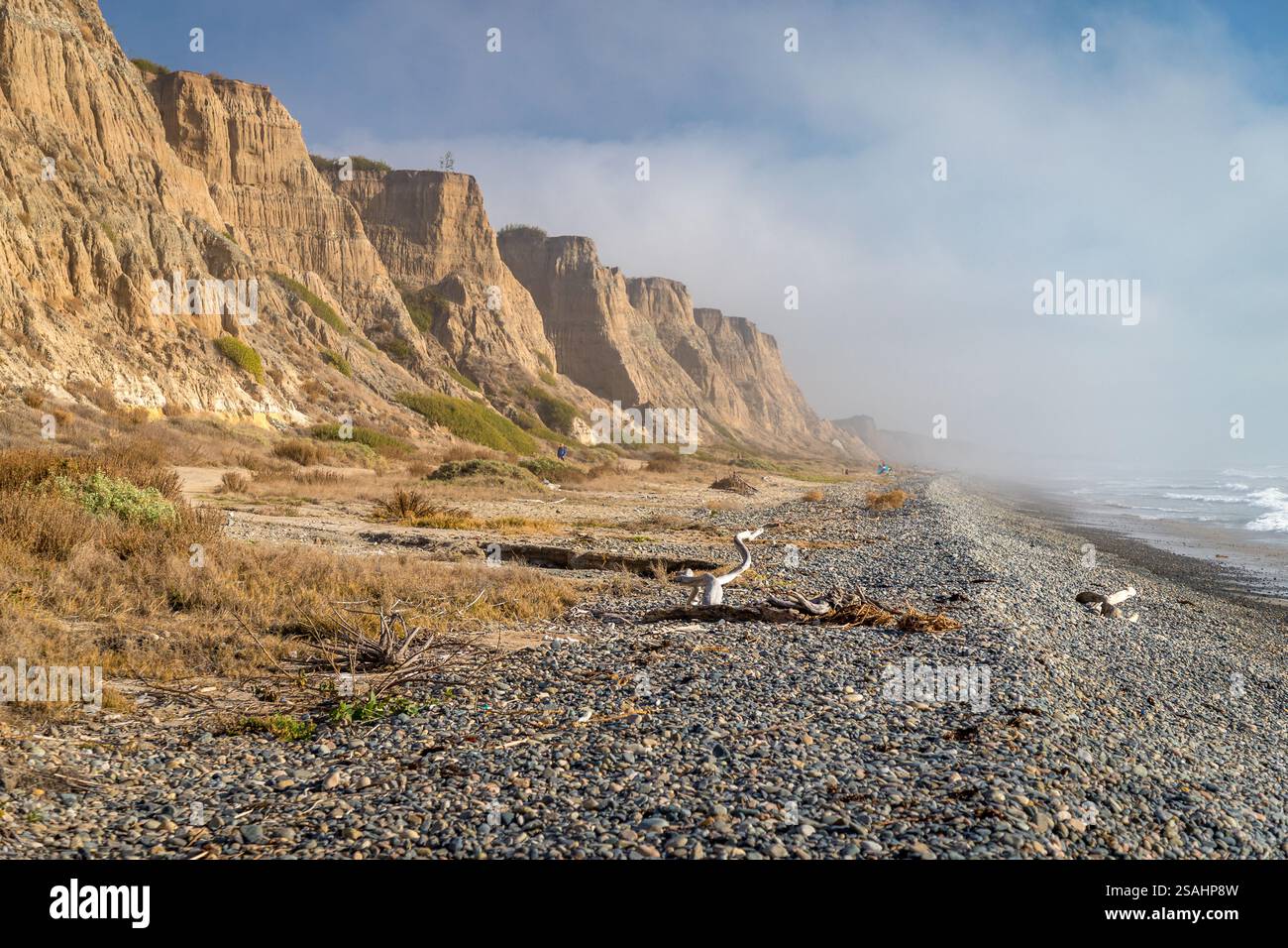 Misty morning at San Onofre State Beach showcases dramatic cliffs and ...