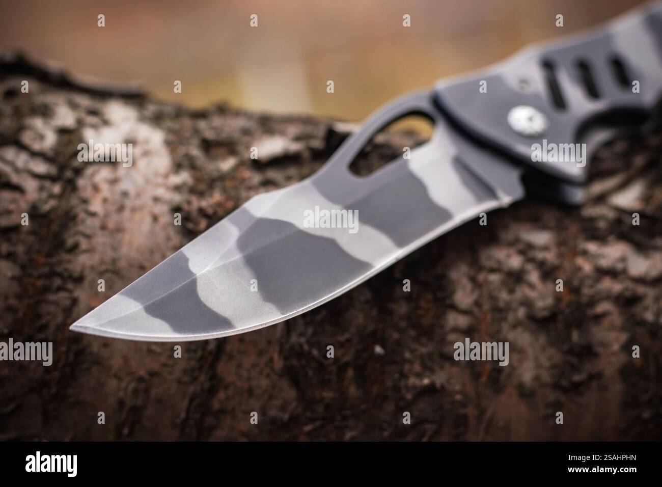 military tactical knife on tree in the forest Stock Photo - Alamy
