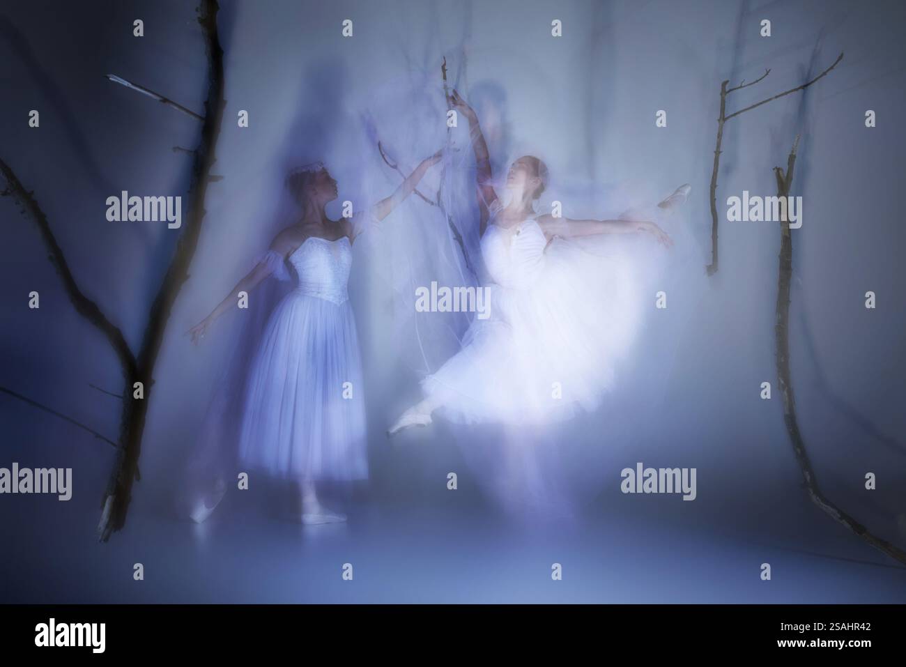 Two phantom dancers, graceful ballerinas wrapped in flowing veils ...