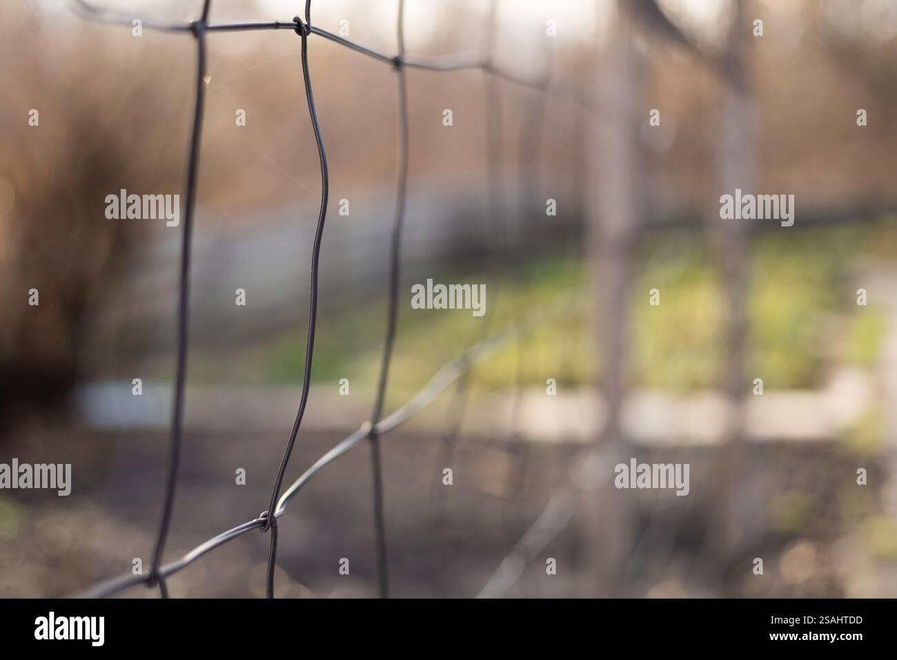 Metal wire mash grid fence outdoor. Close up shot, green background ...