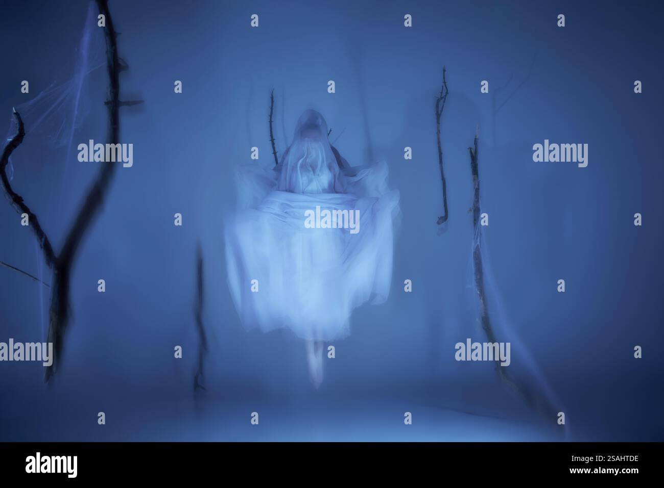 Ghost like ballerina twirling in mist, her veil floating like ghostly ...