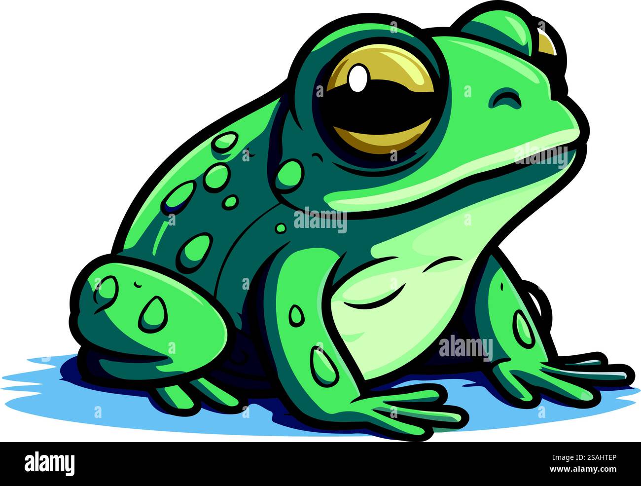 Cartoon frog. Vector illustration. Isolated on white background Stock ...