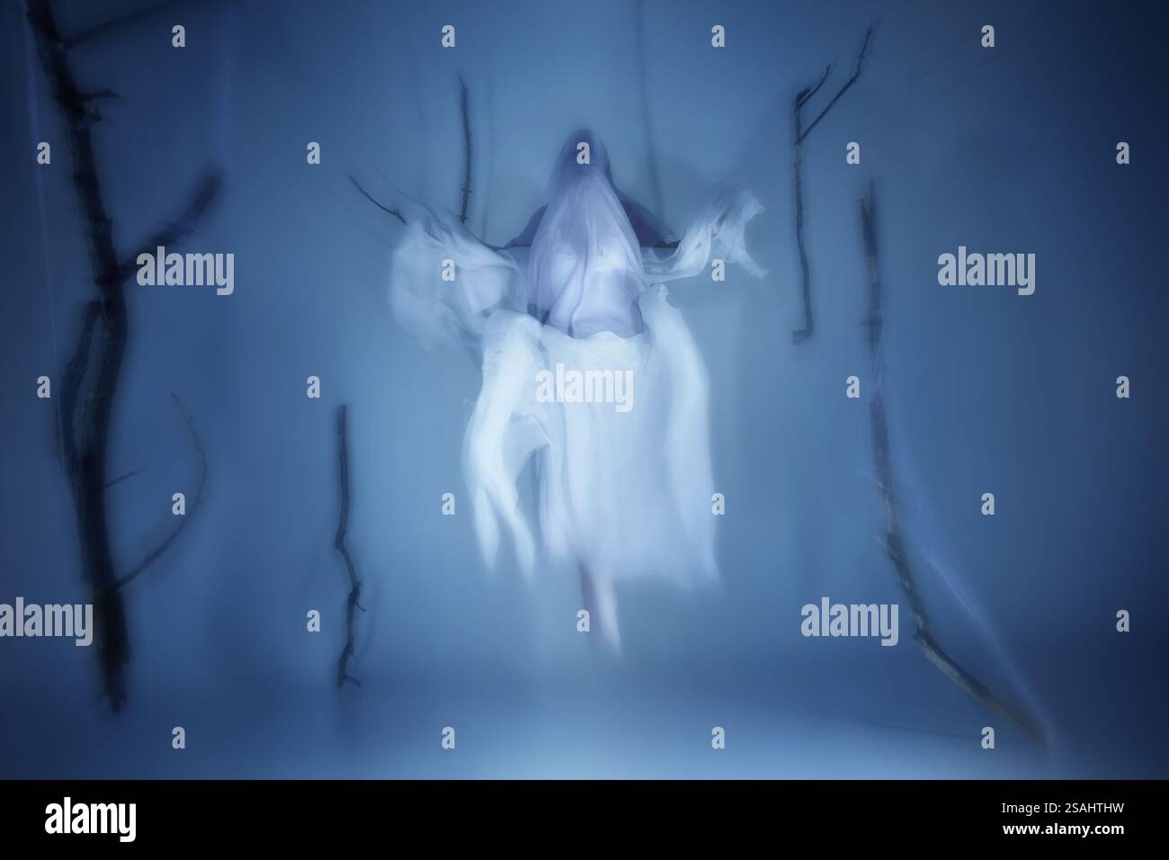 Phantom ballet dancer in mist, dancing with spectral grace, veil ...