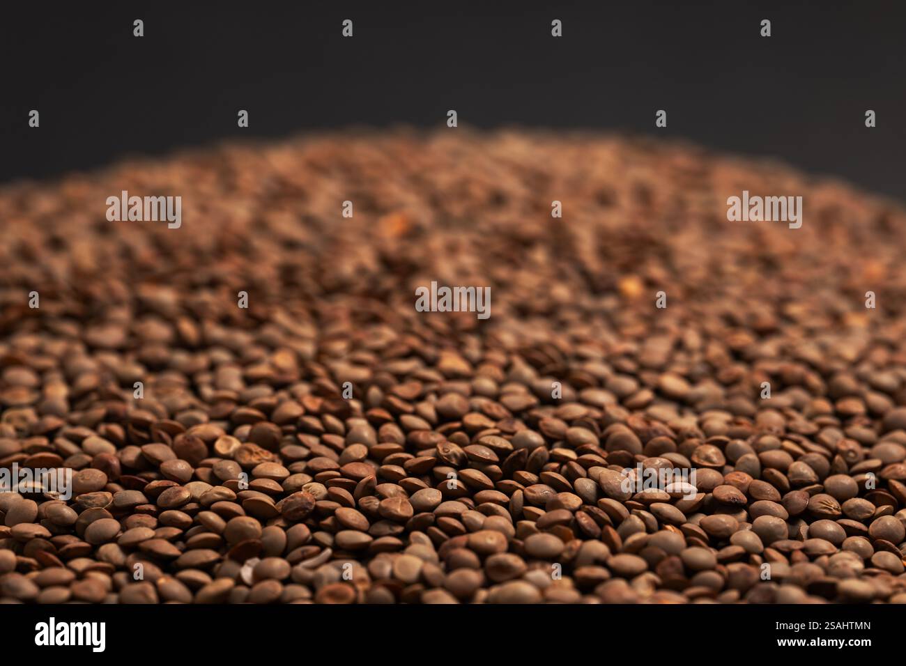 Brown lentils, The lentil Lens culinaris or Lens esculenta, an edible ...