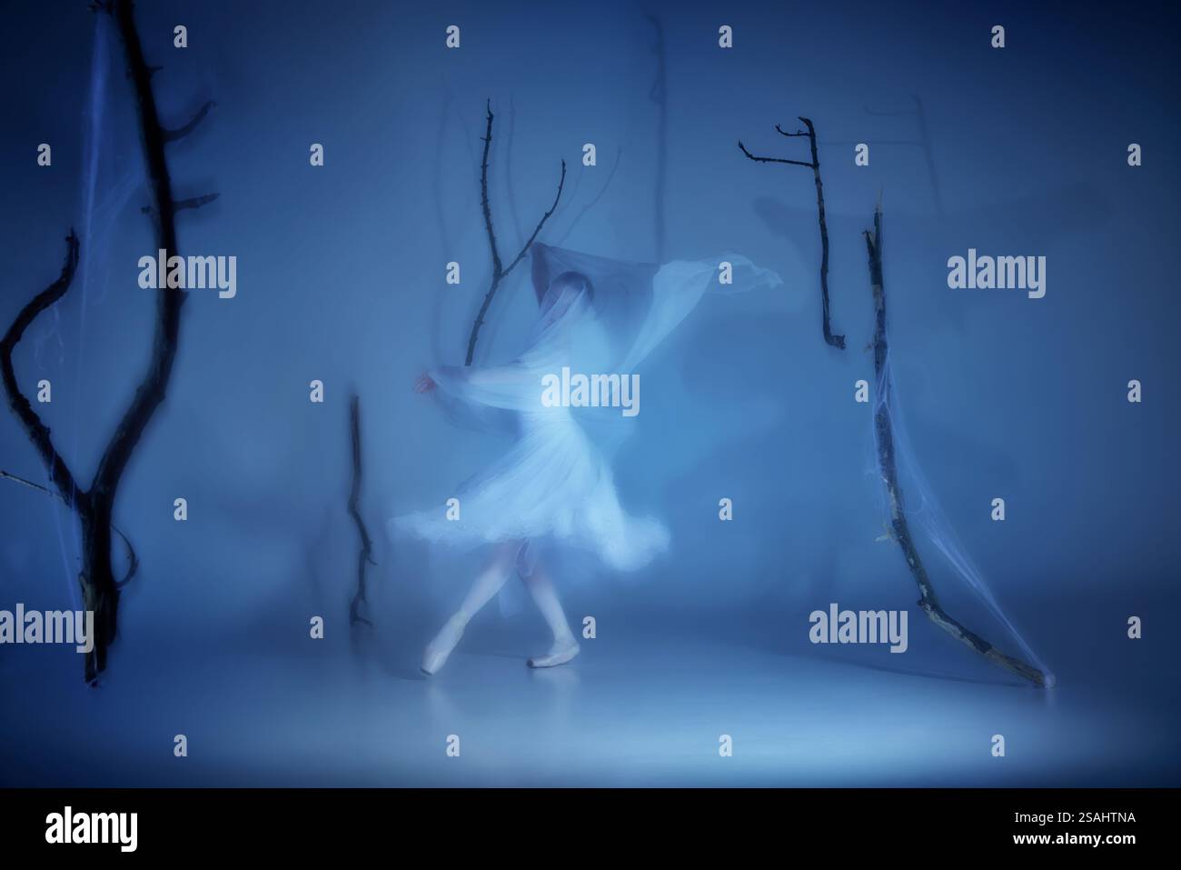 Graceful ballerina, moving like whisper through mist with spectral veil trails behind, caught in ...