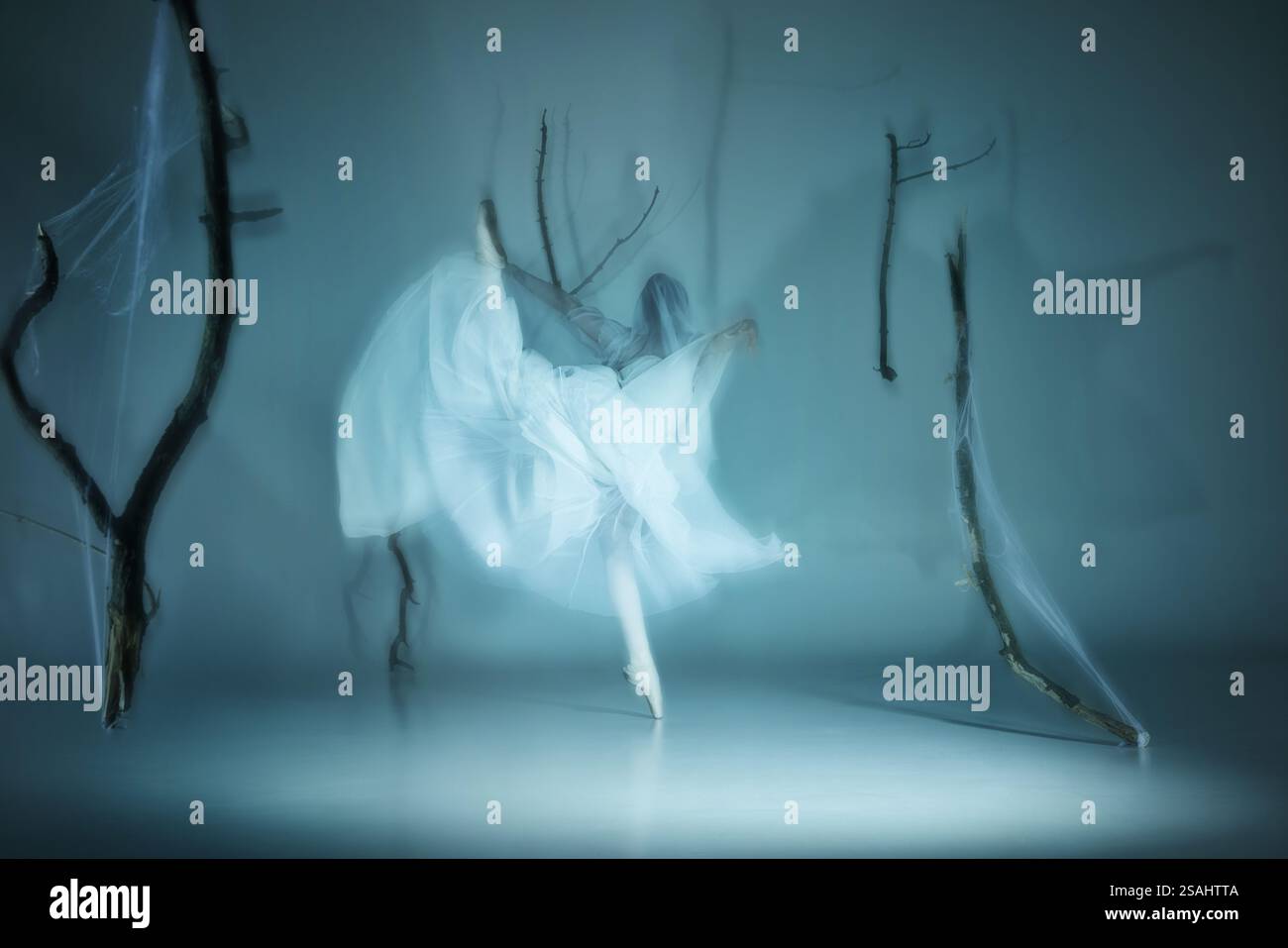Classic ballet dance blending with mystique in foggy forest with ...