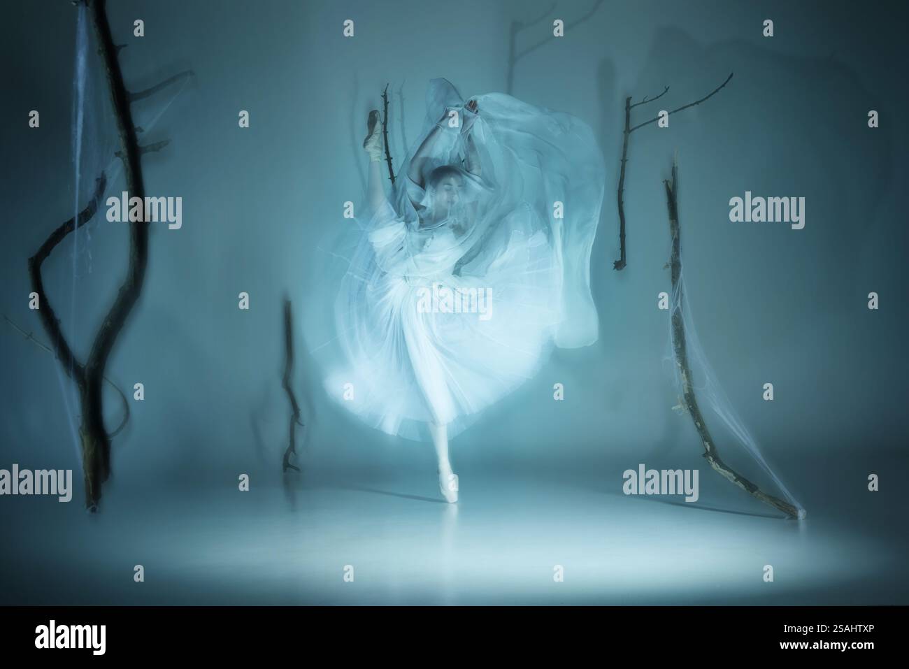 Classic ballet dance blending with mystique in foggy forest with ...