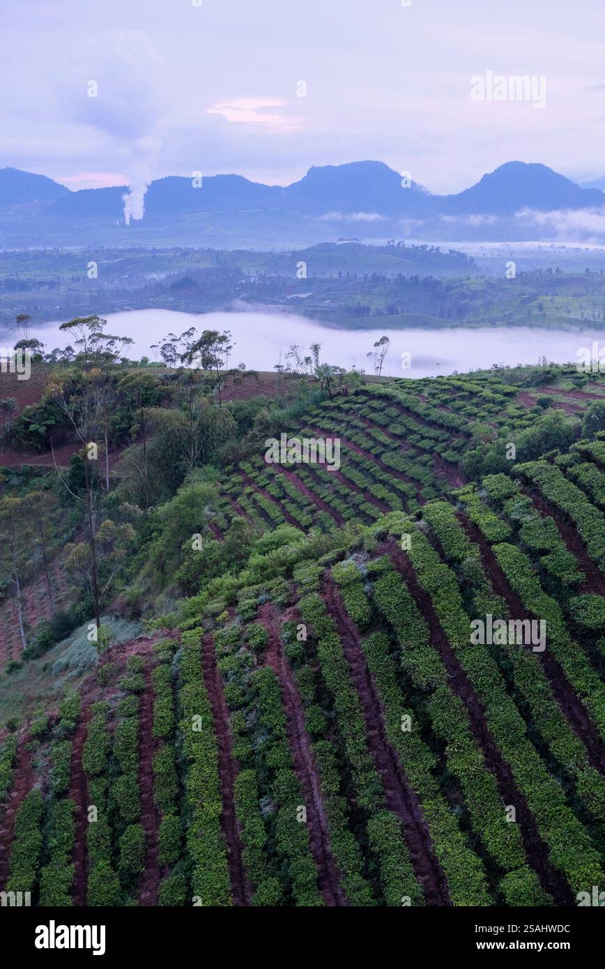 Beautiful landscape view of Pangalengan, Bandung Regency, Indonesia ...