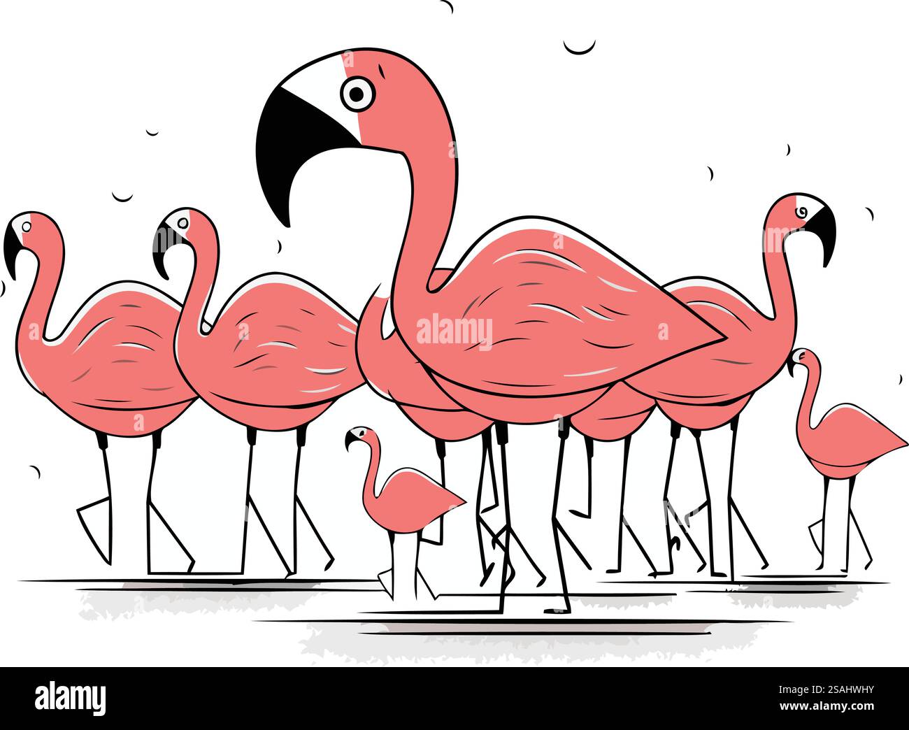 Flamingo vector illustration. Hand drawn flamingo isolated on white ...