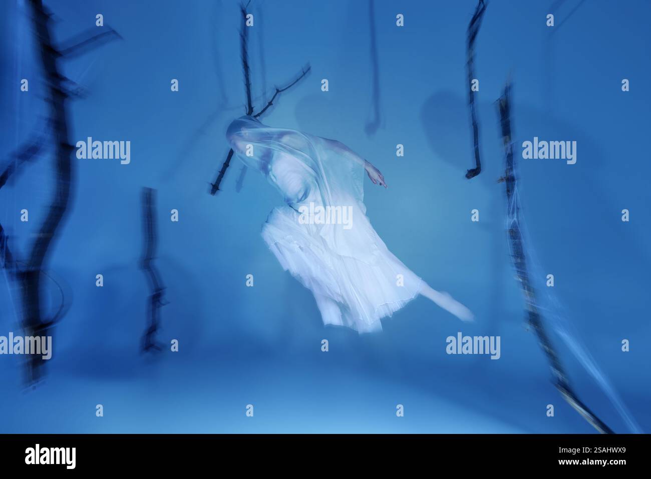 Classic ballerinas in dark and light veil, spectral ballet, twirling ...