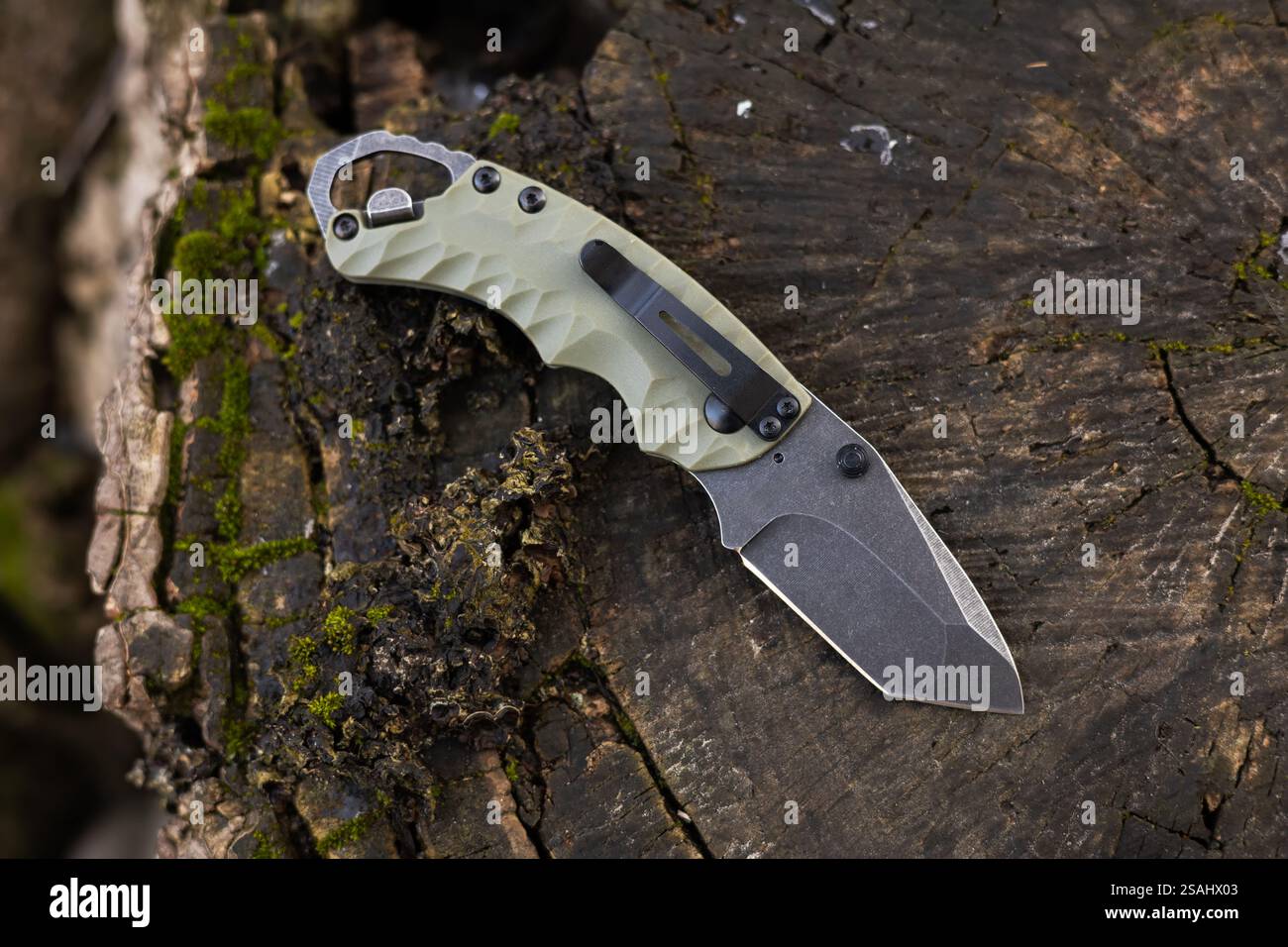 military tactical knife on tree in the forest Stock Photo - Alamy
