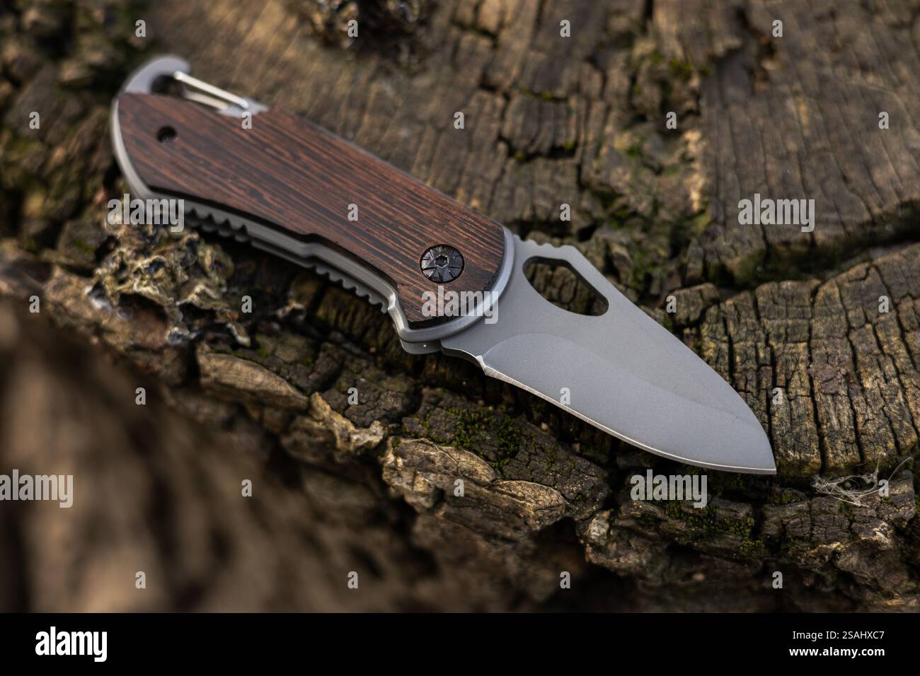 military tactical knife on tree in the forest Stock Photo - Alamy