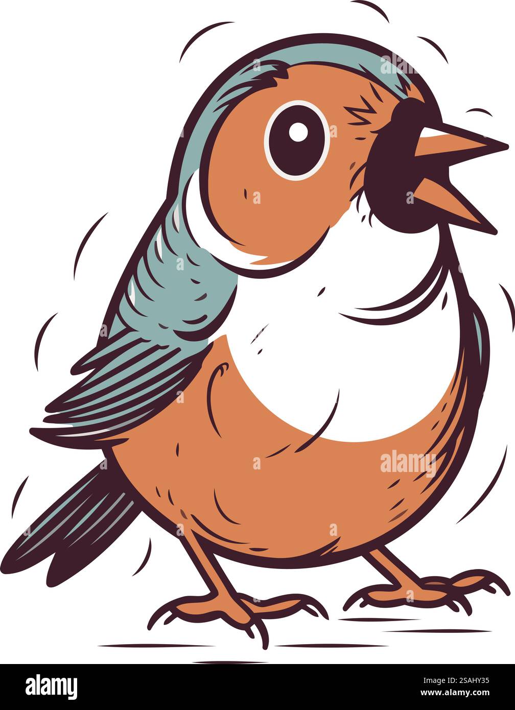 Chaffinch bird isolated on white background. Hand drawn vector ...