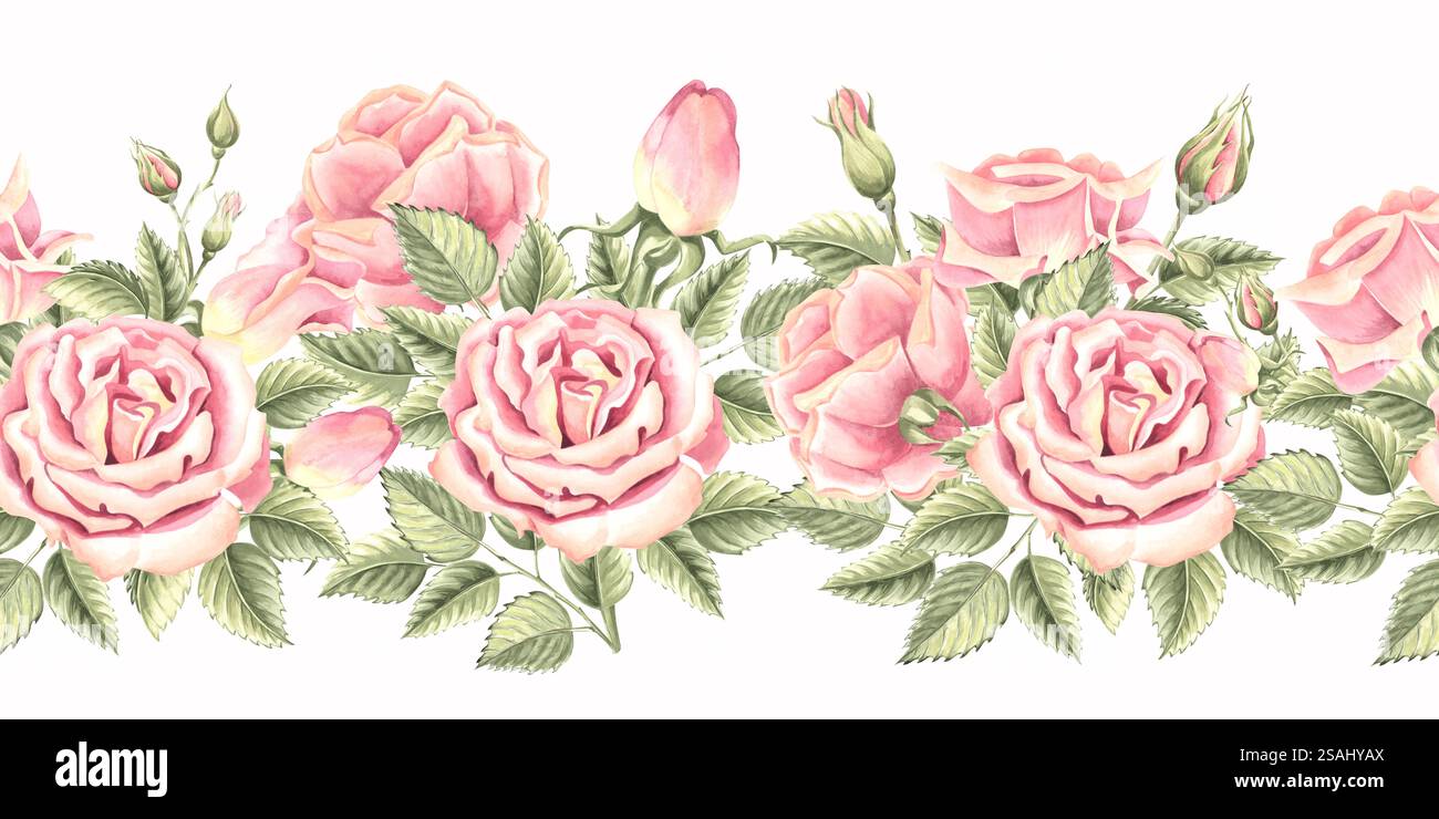 Flowers of roses with buds and leaves. Seamless border. Hand drawn ...