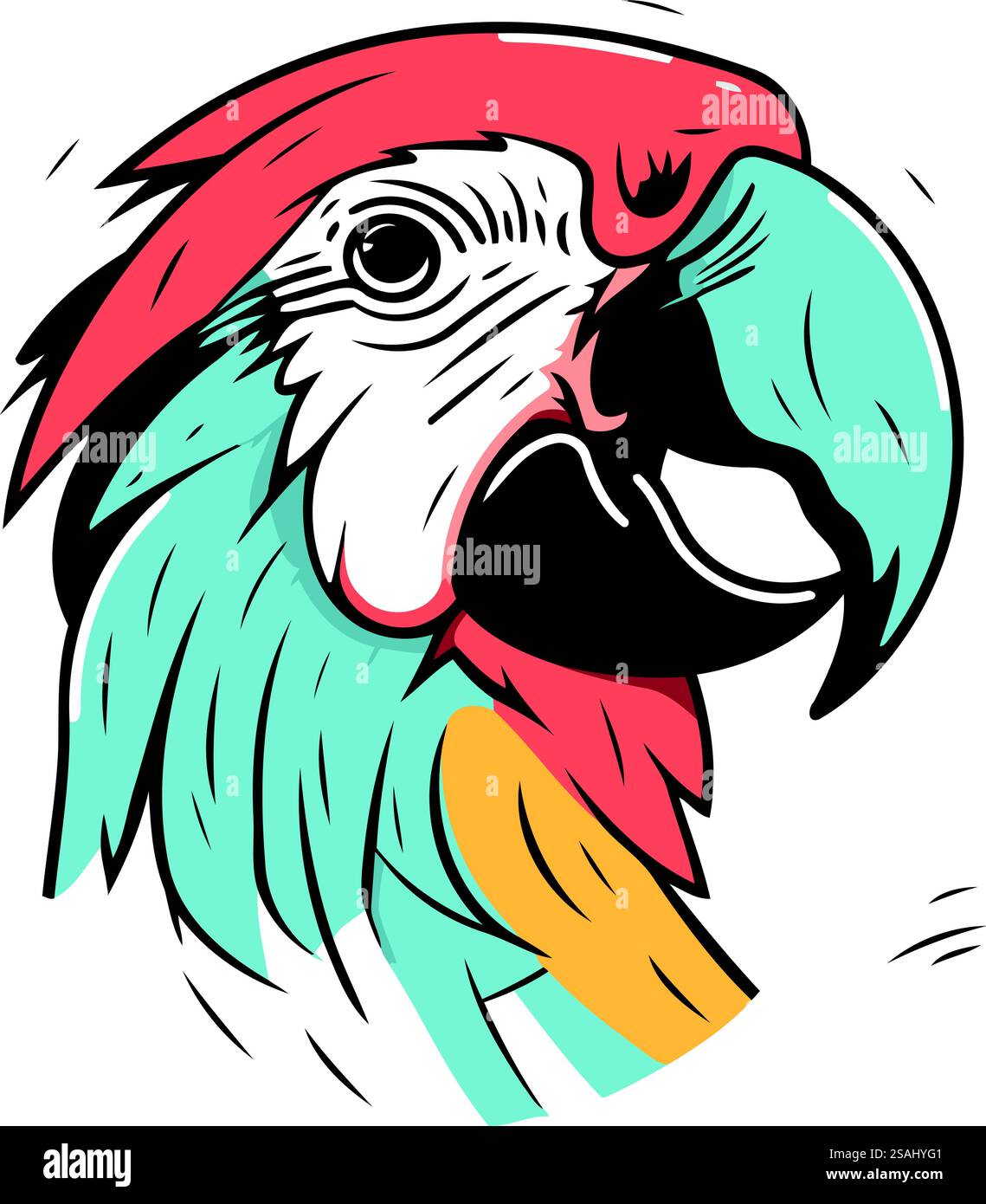 Colorful macaw parrot head vector illustration isolated on white ...