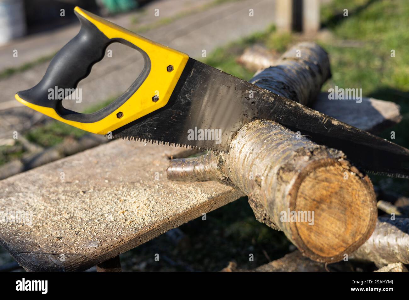 Pruning fruit trees garden with a hacksaw Stock Photo - Alamy