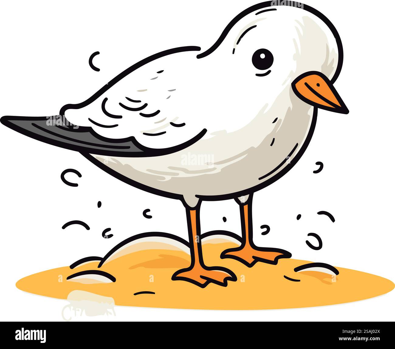 Seagull at the beach Cut Out Stock Images & Pictures - Alamy