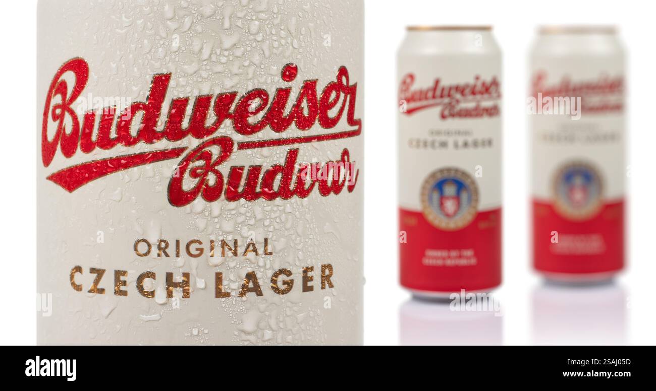 Dnipro, Ukraine 14 nov, 2023: Aluminium Budweiser Budvar lager beer in ...