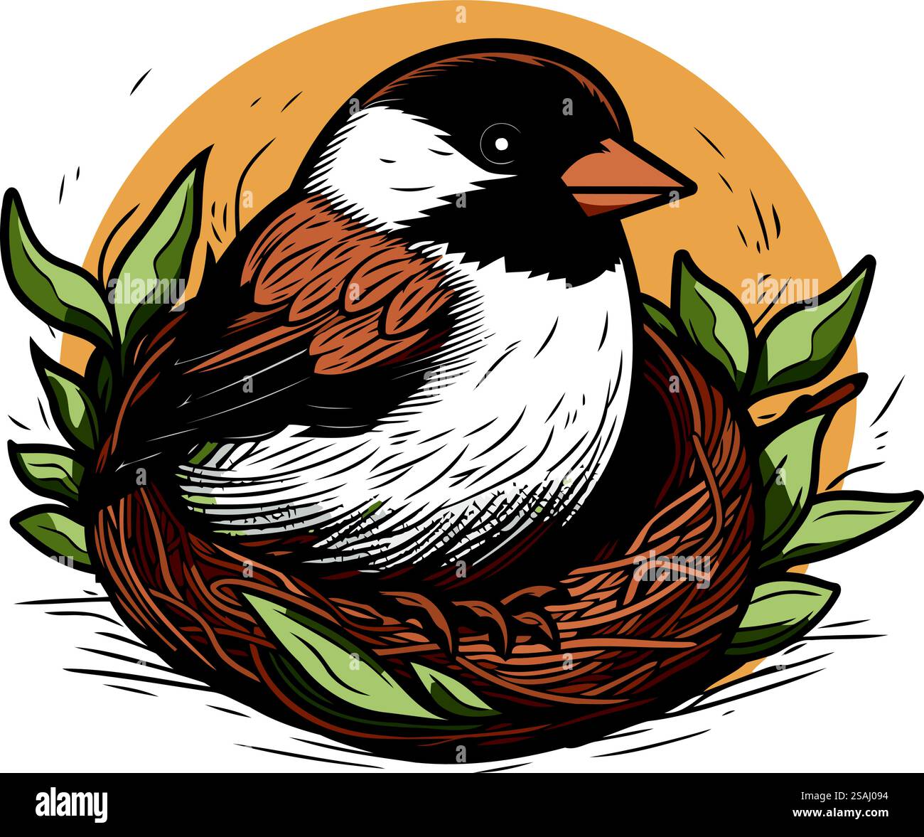 Vector hand drawn illustration of a sparrow bird sitting in a nest ...