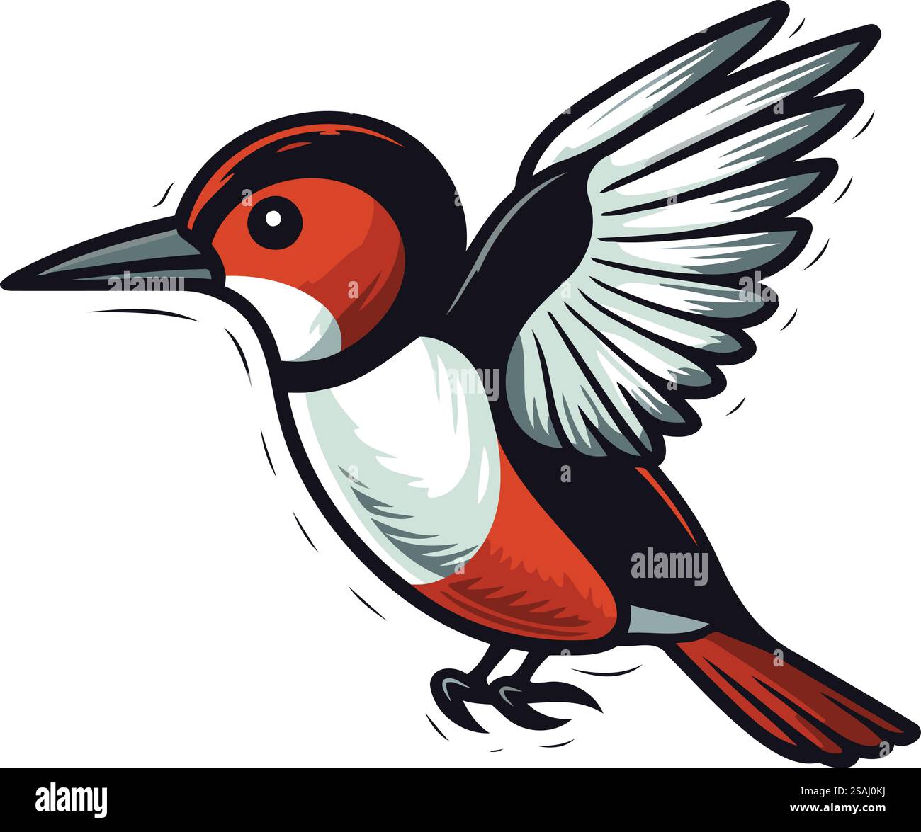 Red backed Woodpecker. Vector illustration on white background Stock ...