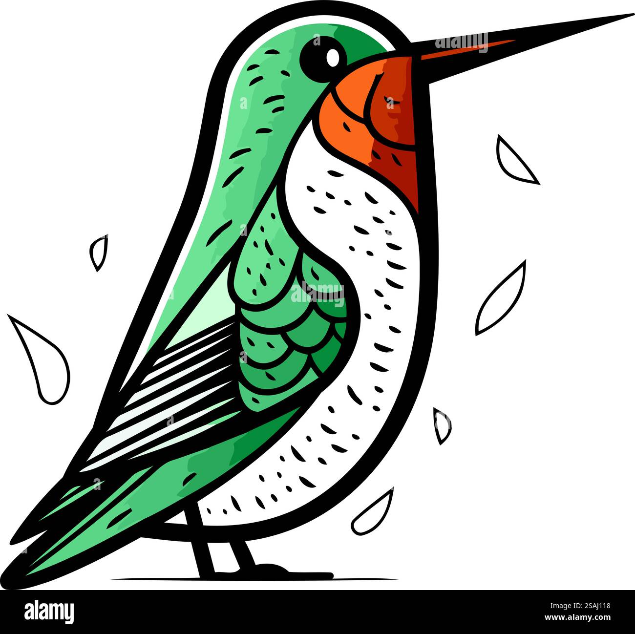 Cartoon Hummingbird. Hand drawn vector illustration isolated on white ...
