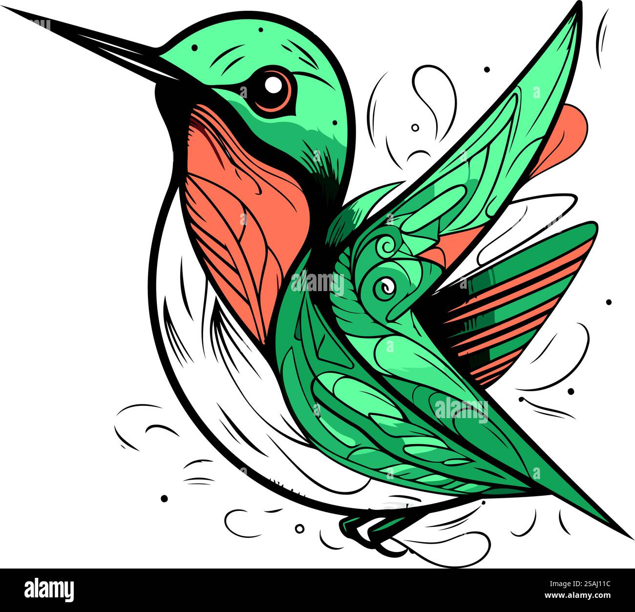 Hummingbird. Hand drawn vector illustration. Isolated on white ...