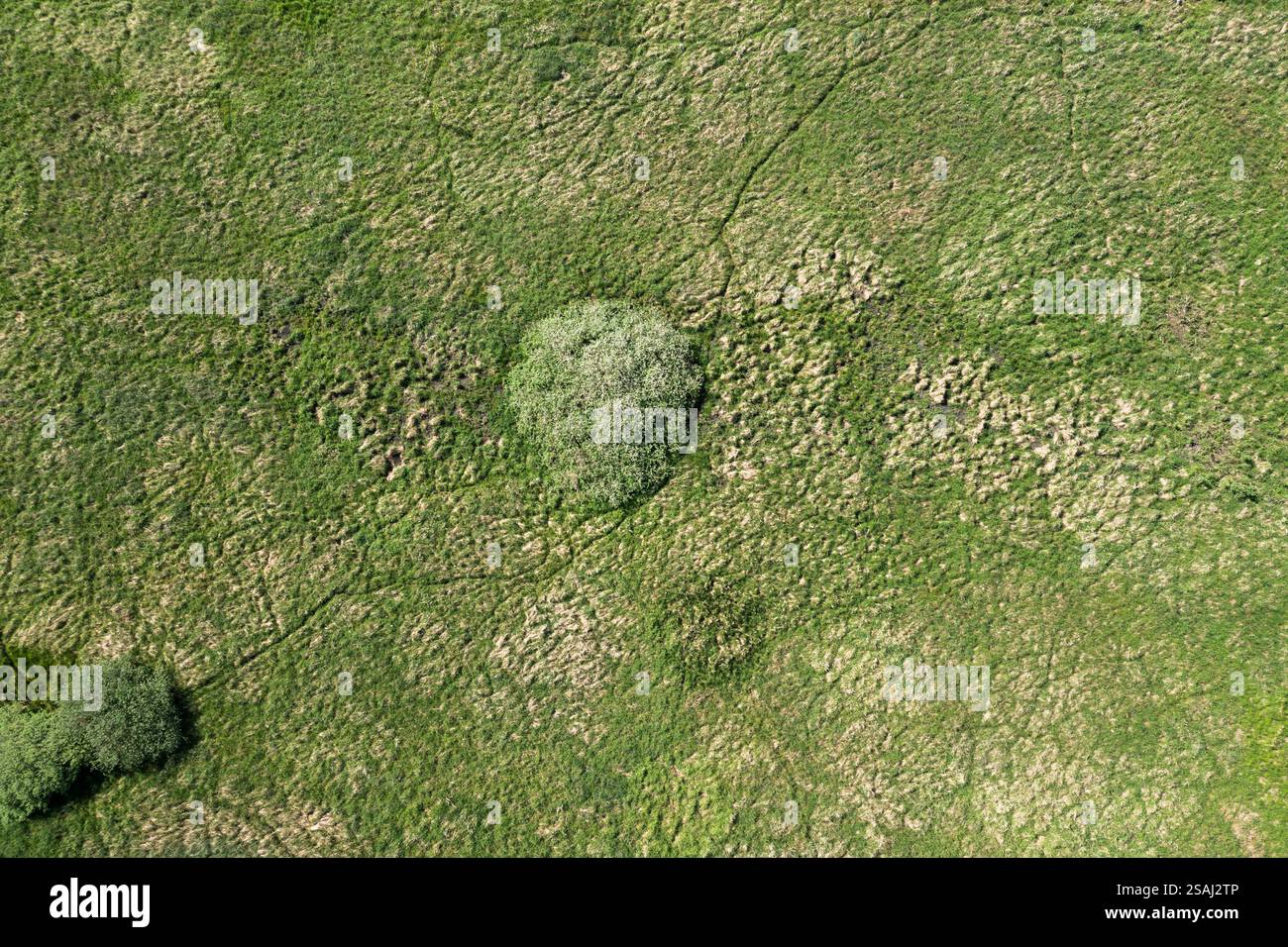 Beautiful natural landscape, drone view of green meadows Stock Photo ...