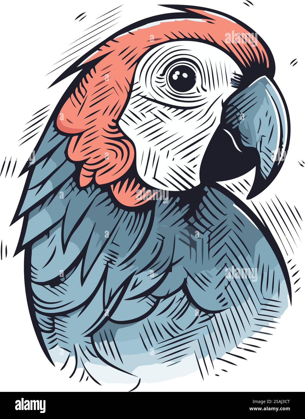 Parrot vector illustration. Hand drawn parrot. Vector illustration ...