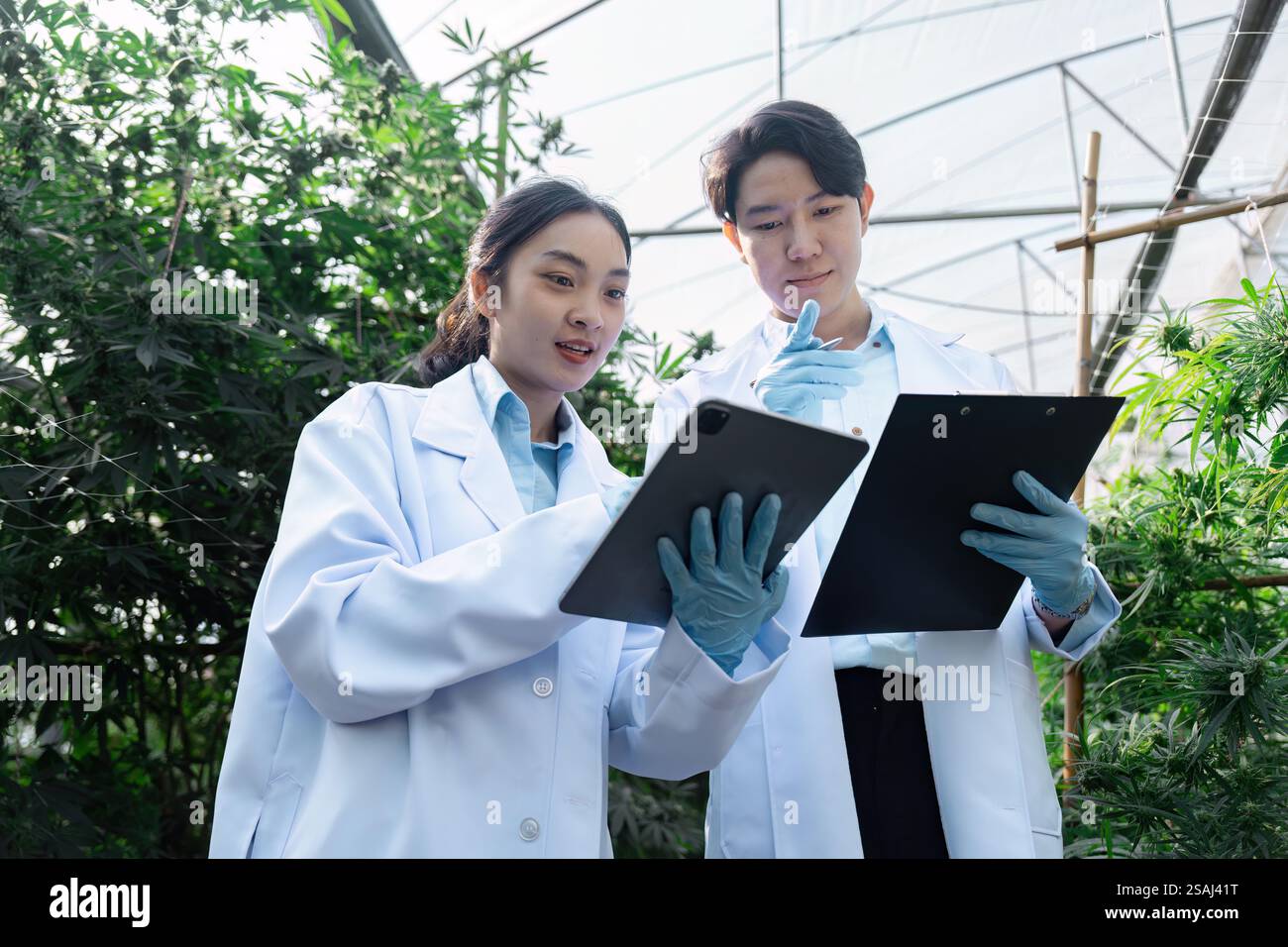 Diverse scientists analyzing plant samples in a greenhouse environment ...