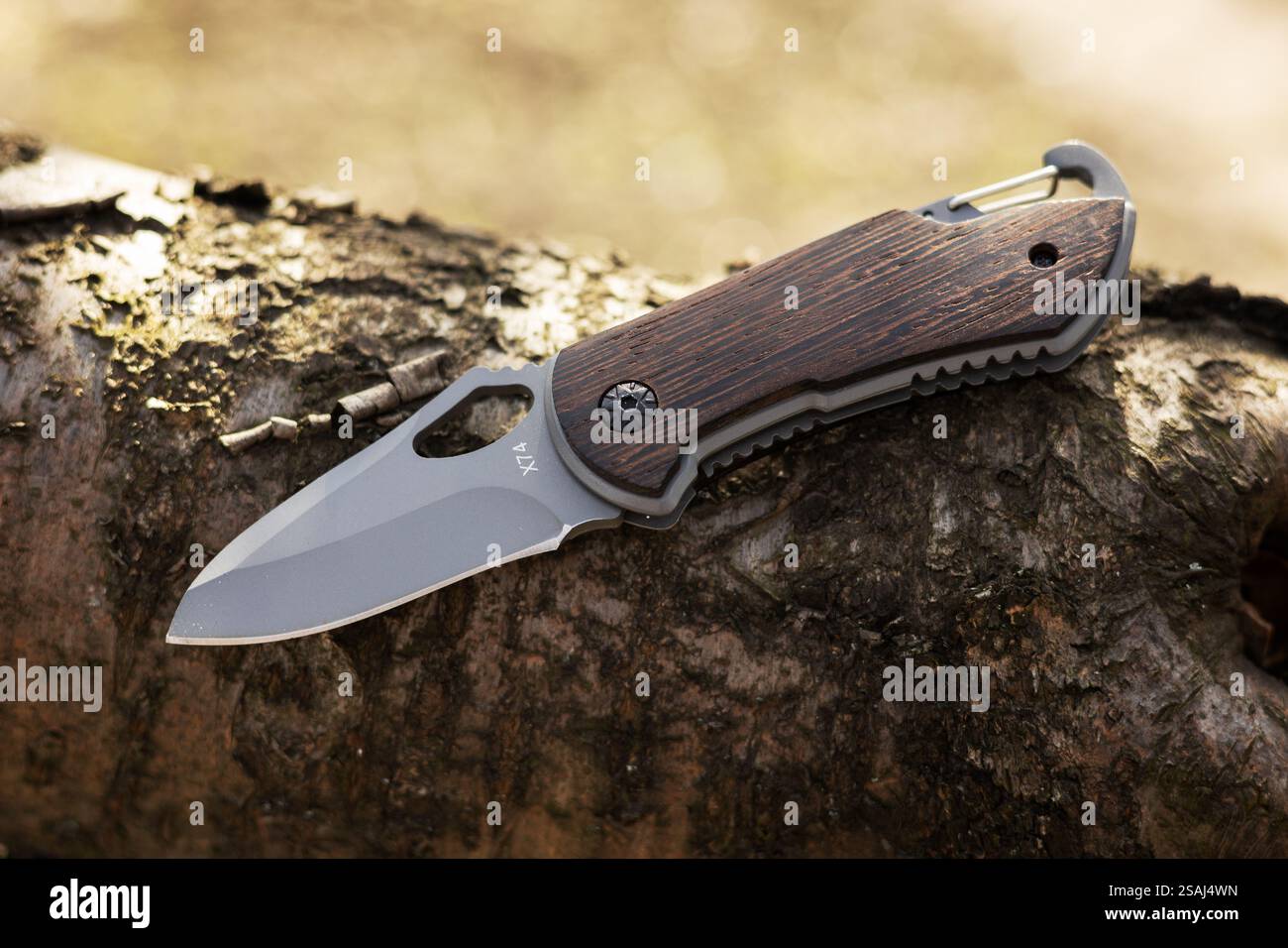 military tactical knife on tree in the forest Stock Photo - Alamy