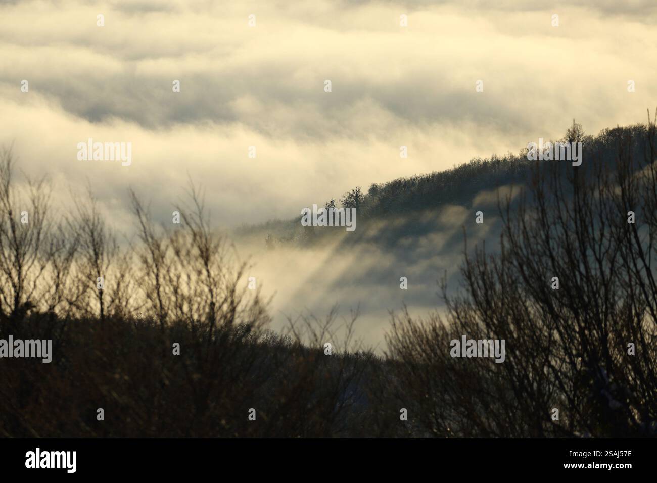 Invesrion hi-res stock photography and images - Alamy